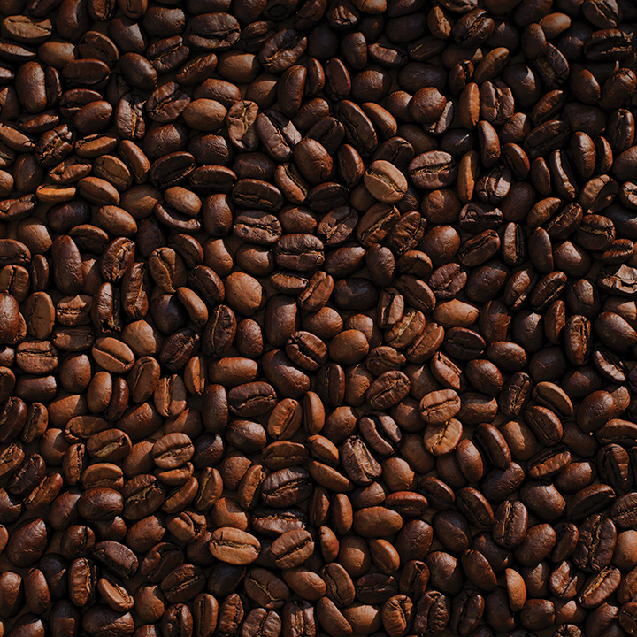 Figaro Coffee House | Espresso Bar | Event Space | Ottawa